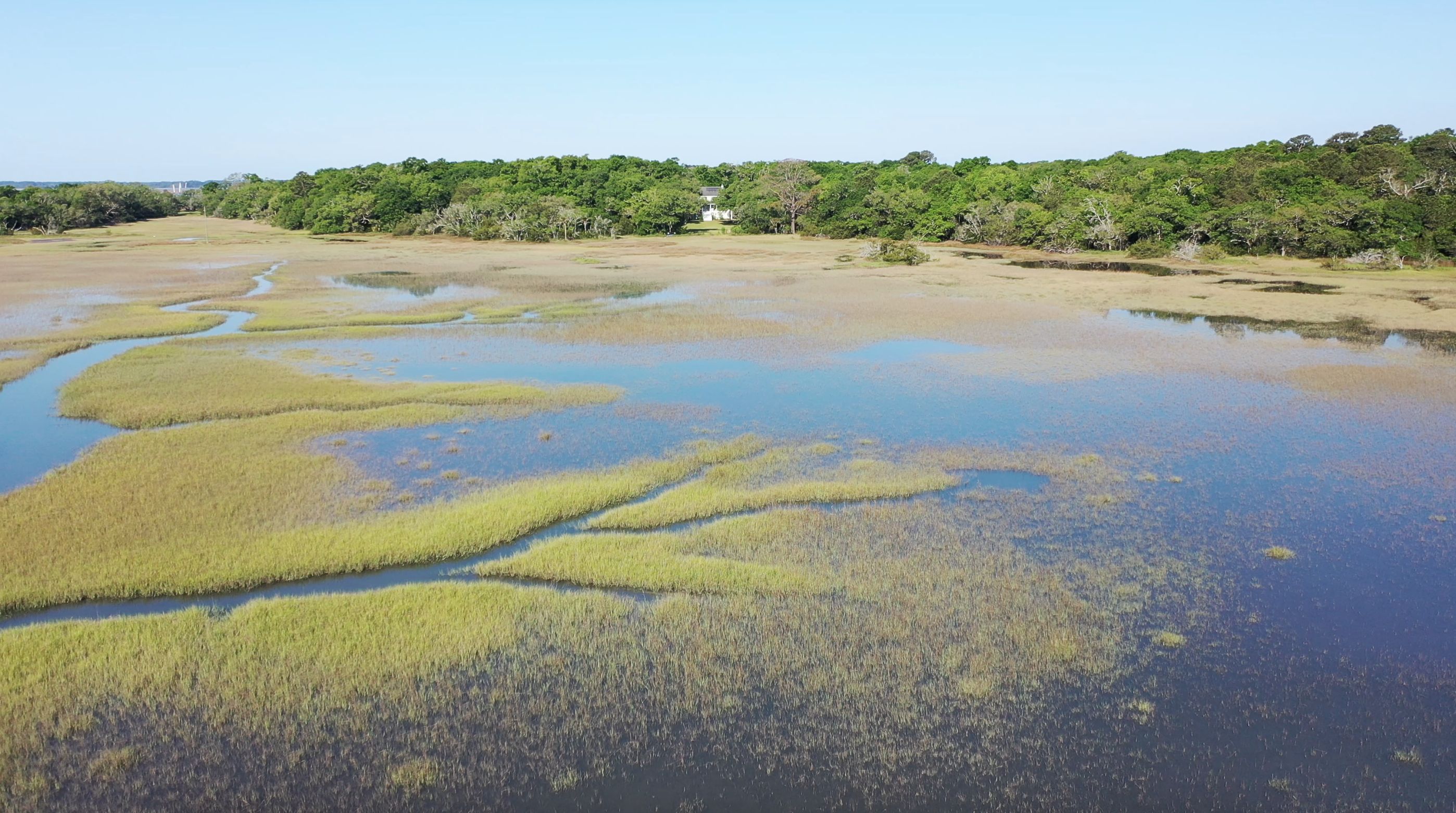 Wadmalaw Island, Charleston County, SC Recreational Property, Horse ...