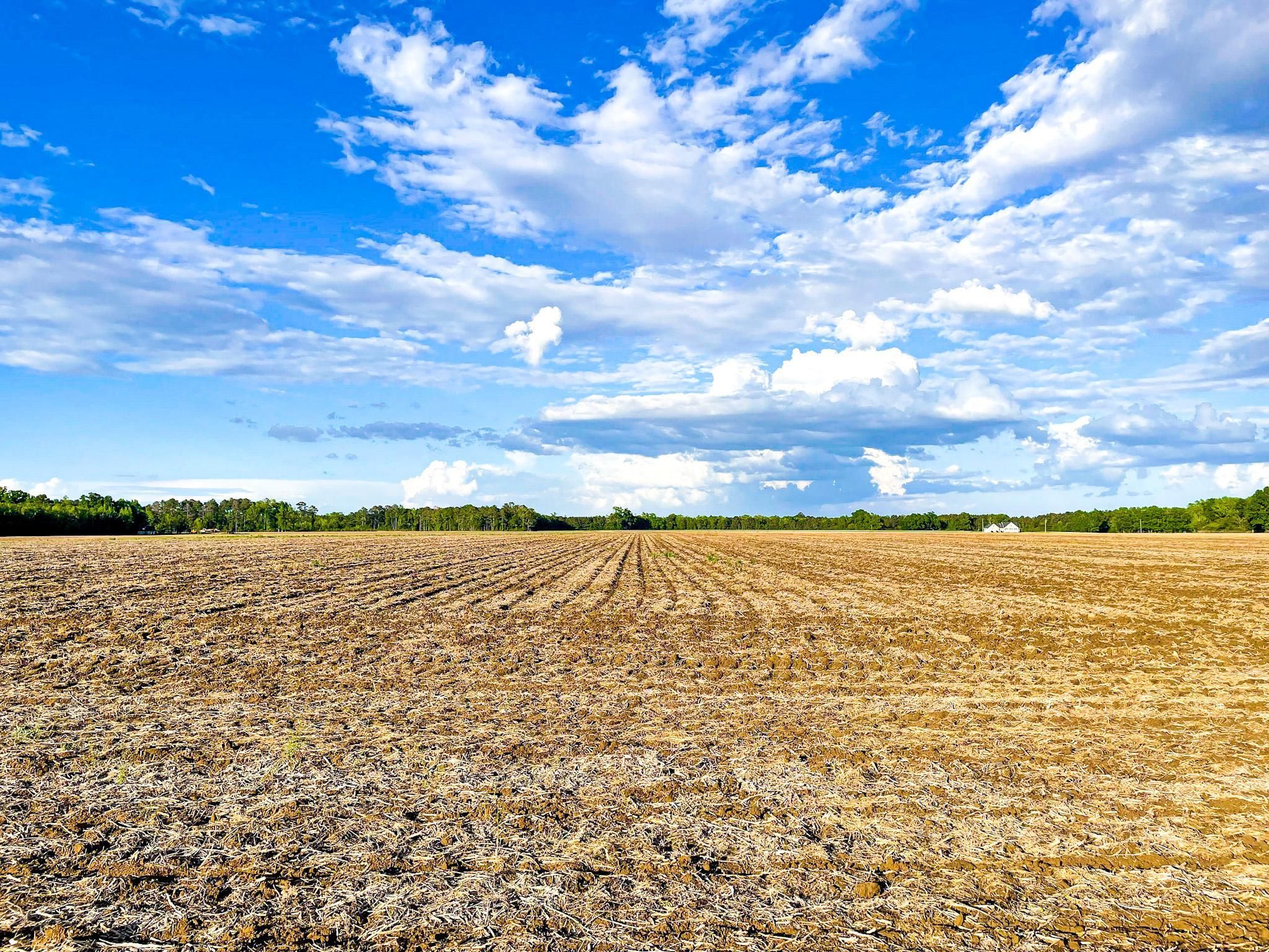 Latta, Dillon County, SC Recreational Property, Timberland Property ...