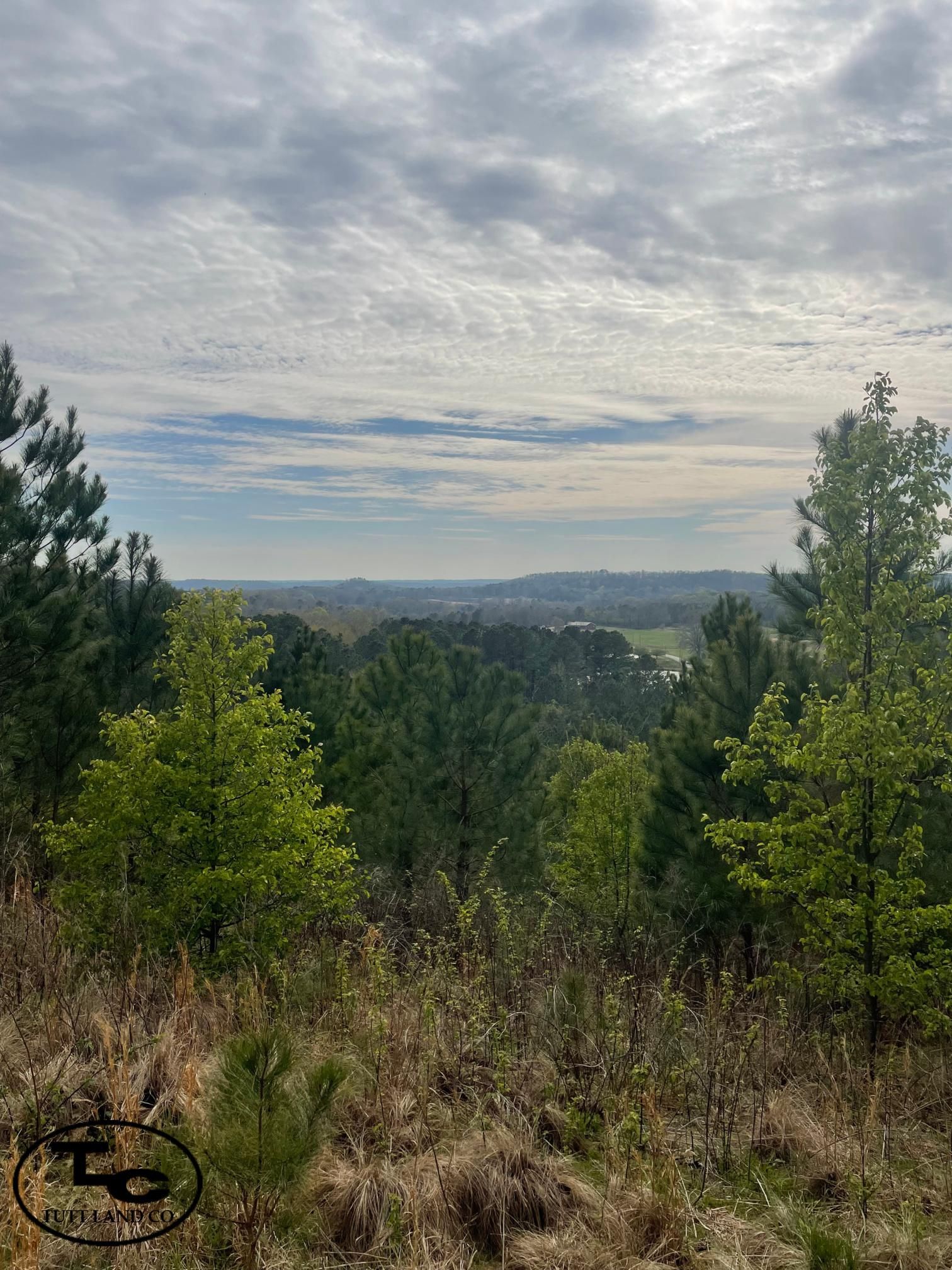 Union Grove, Marshall County, AL Undeveloped Land for sale Property ID ...