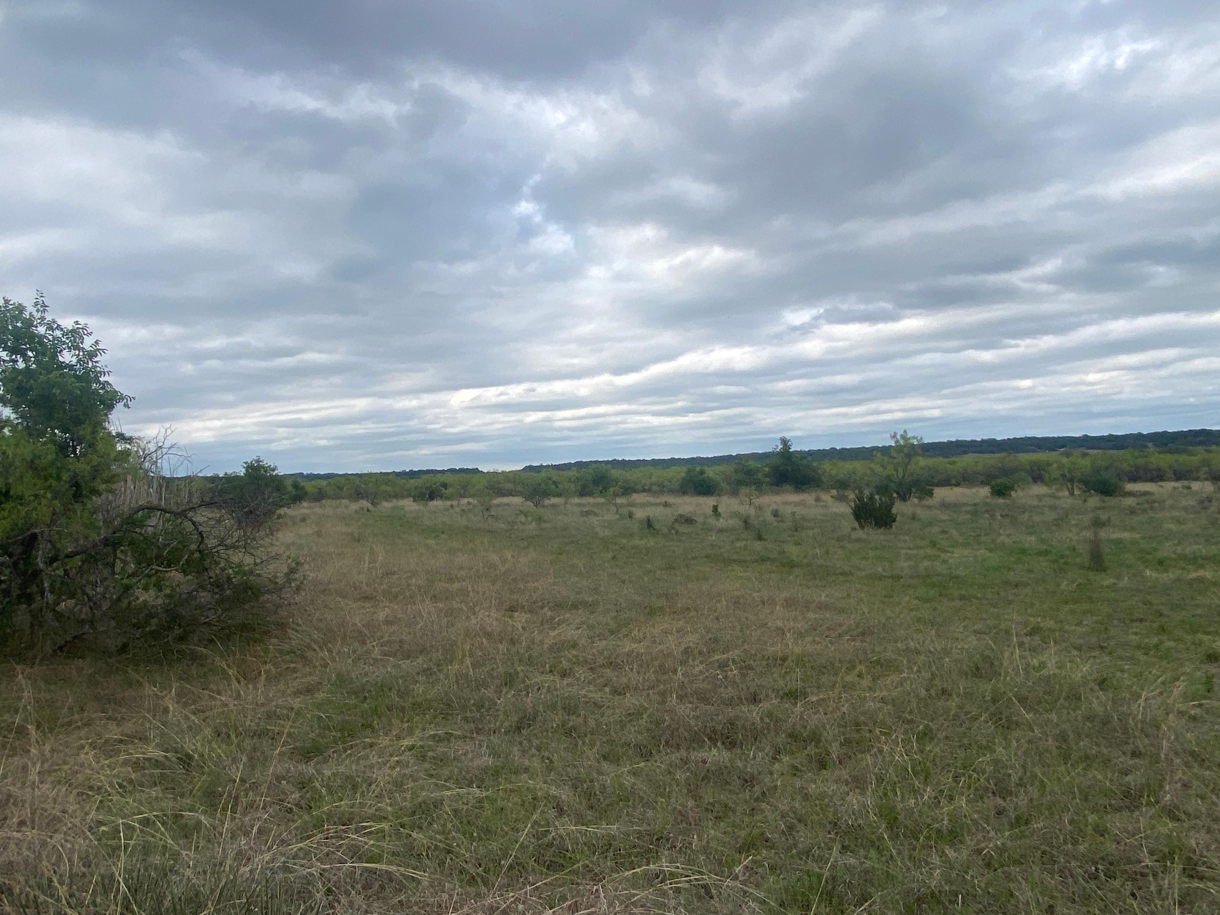 Santa Anna, Coleman County, TX Recreational Property, Hunting Property ...