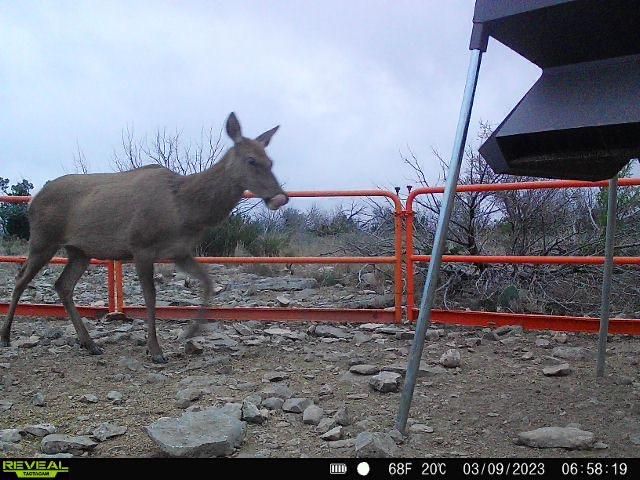 Sonora, Sutton County, TX Farms and Ranches, Recreational Property ...