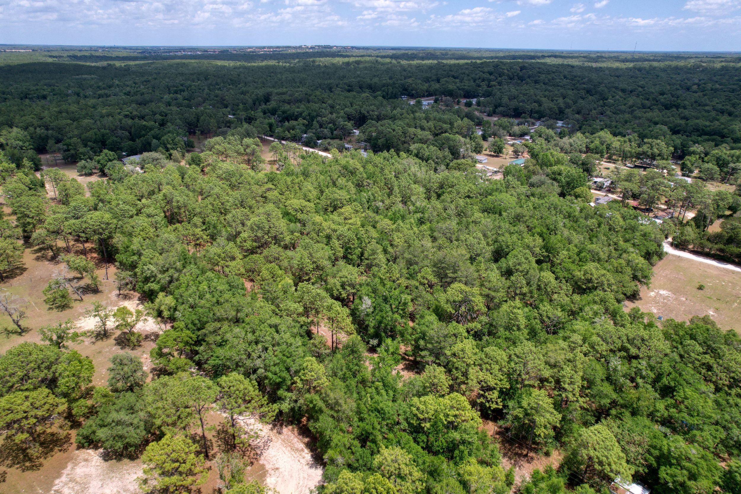 Lecanto, Citrus County, FL Undeveloped Land, Homesites for sale ...