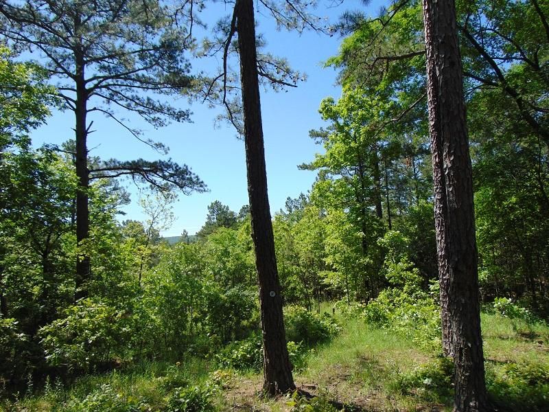 20.21 acres in Wister, OK, 74966 | LandWatch