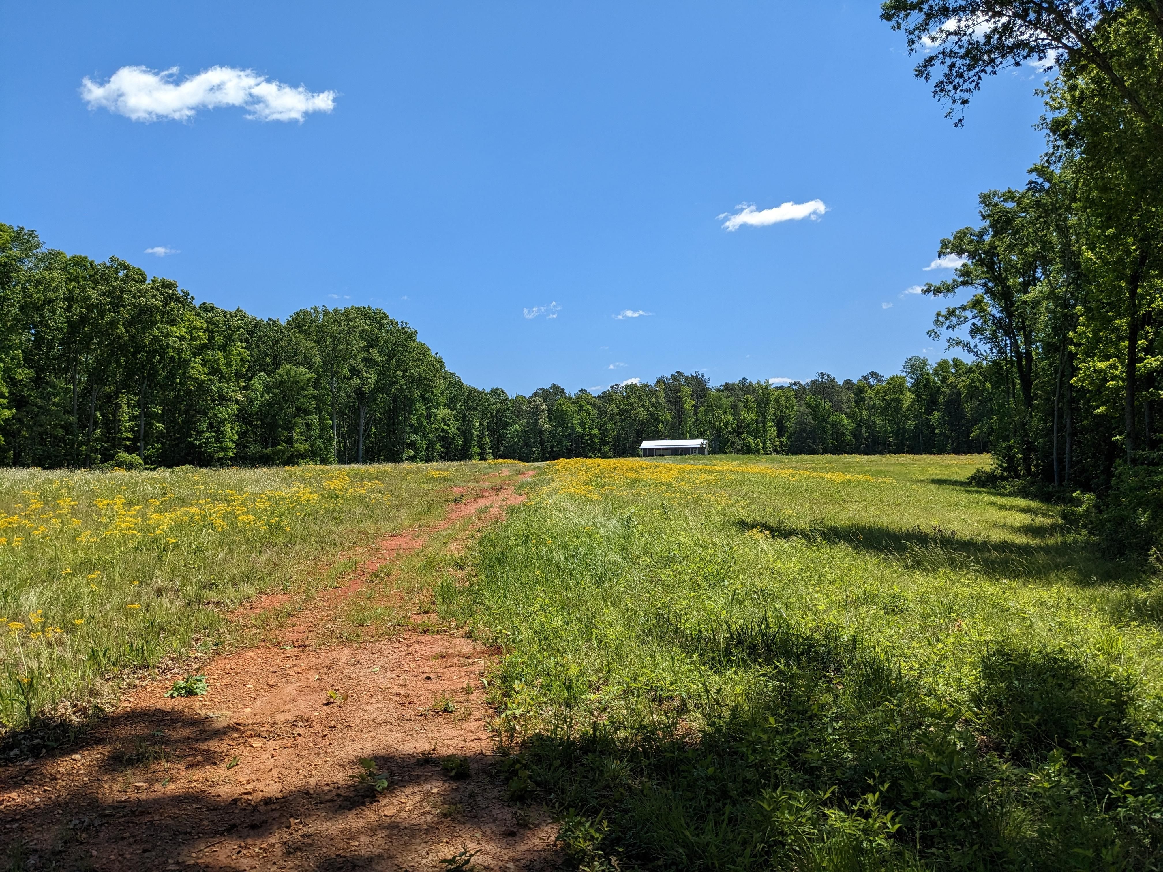 Minger Road, Blythewood, SC 29016 | LandWatch
