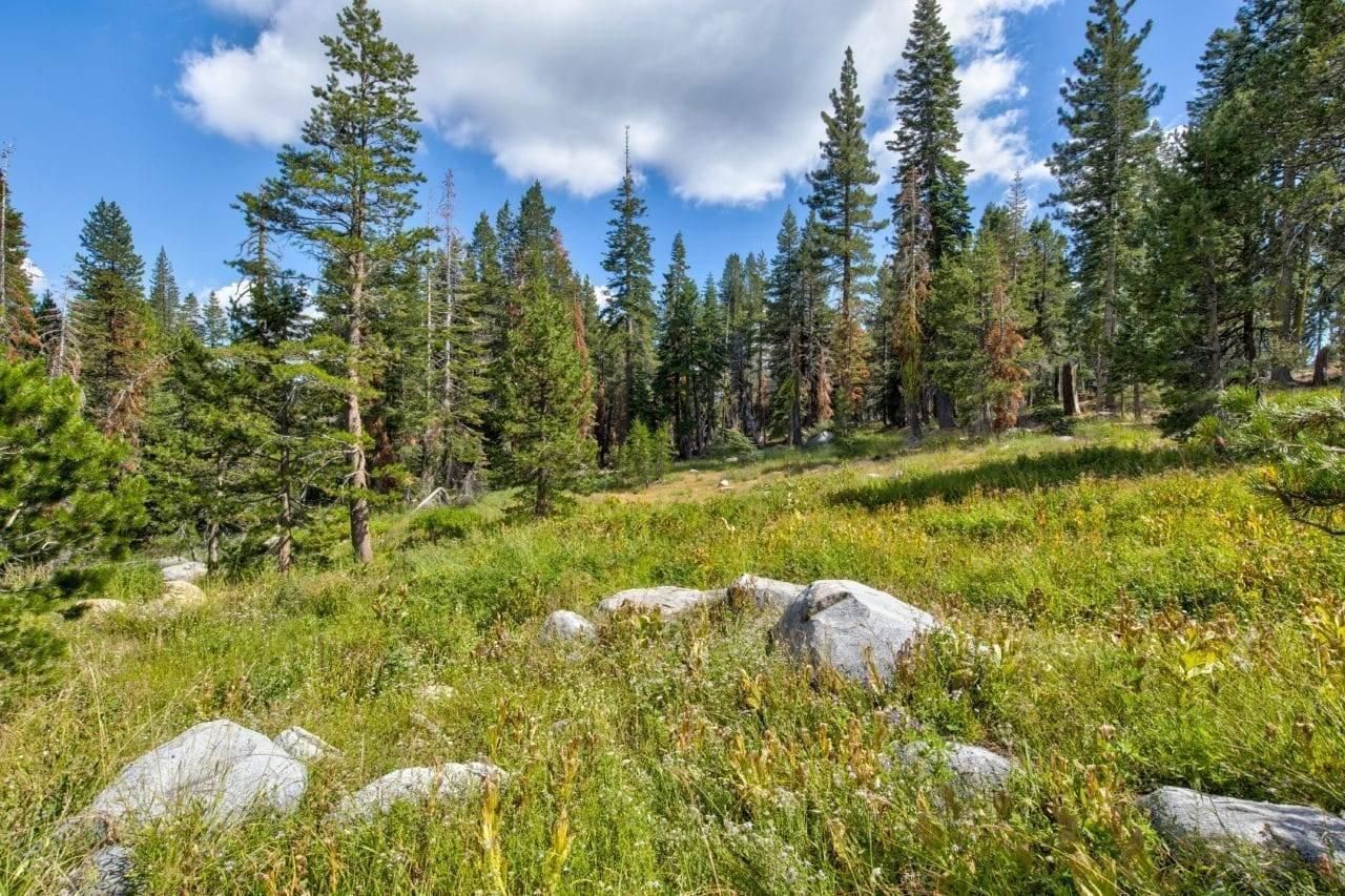 0 Highway 88, Pioneer, CA 95666 | LandWatch