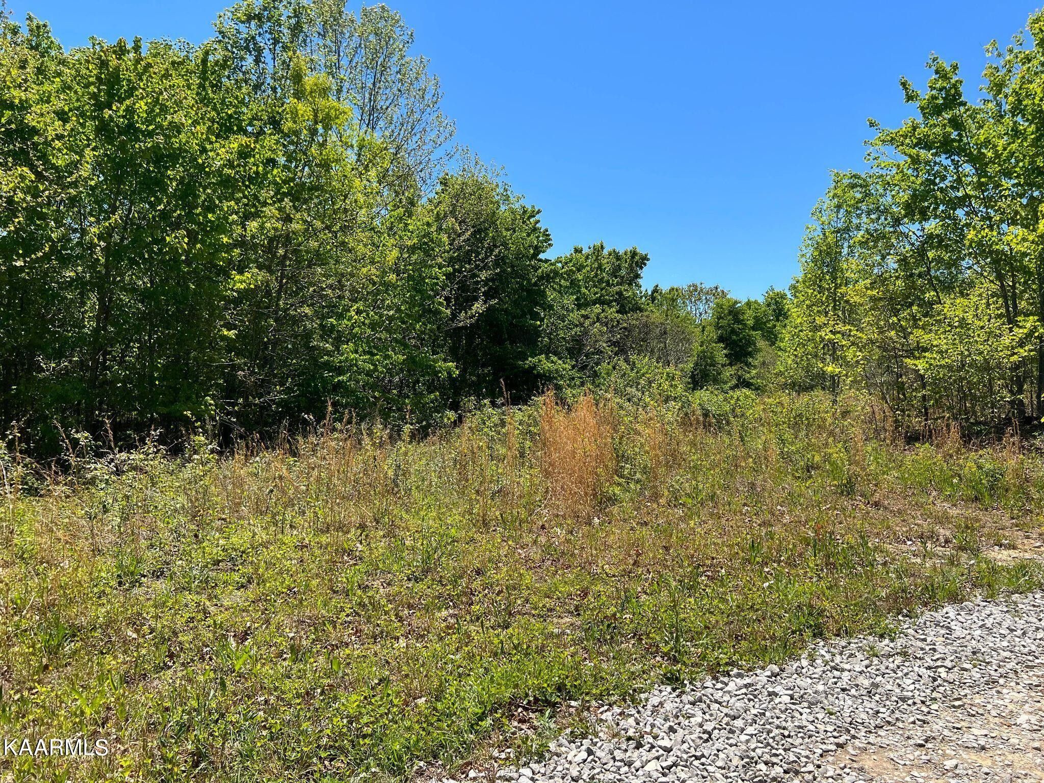 Lot F McCartt Ridge Ln, Sunbright, TN 37872 | MLS: 1214847 | LandWatch