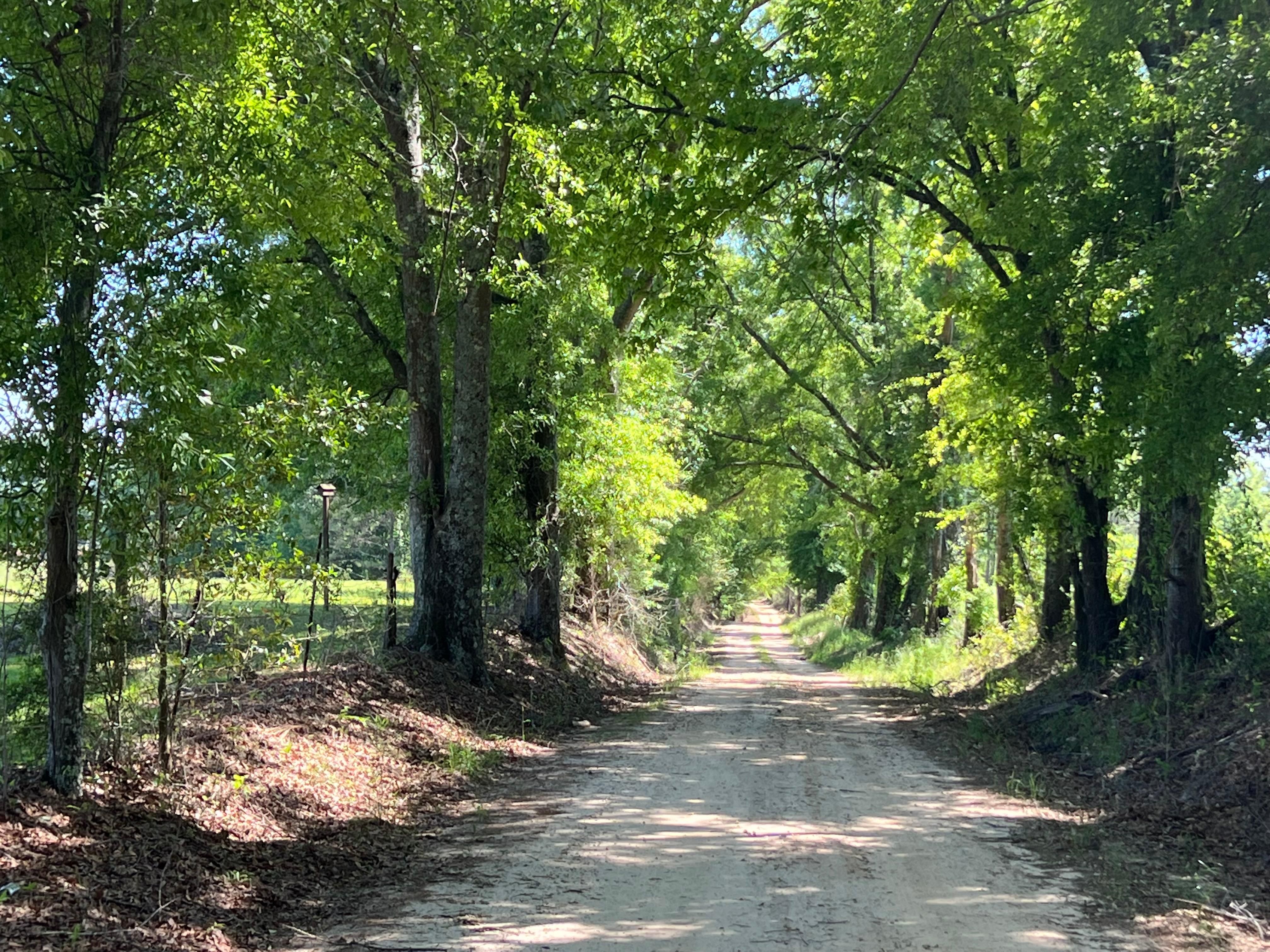 County Road 2213, Goshen, AL 36035 | MLS: 24993 | LandWatch