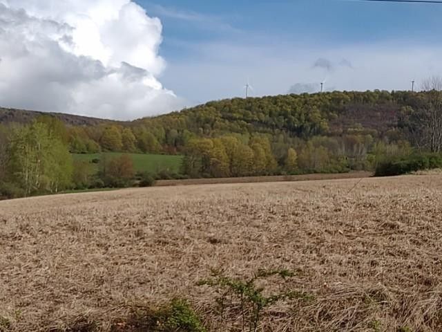 Mainesburg, Tioga County, PA Farms and Ranches for sale Property ID ...