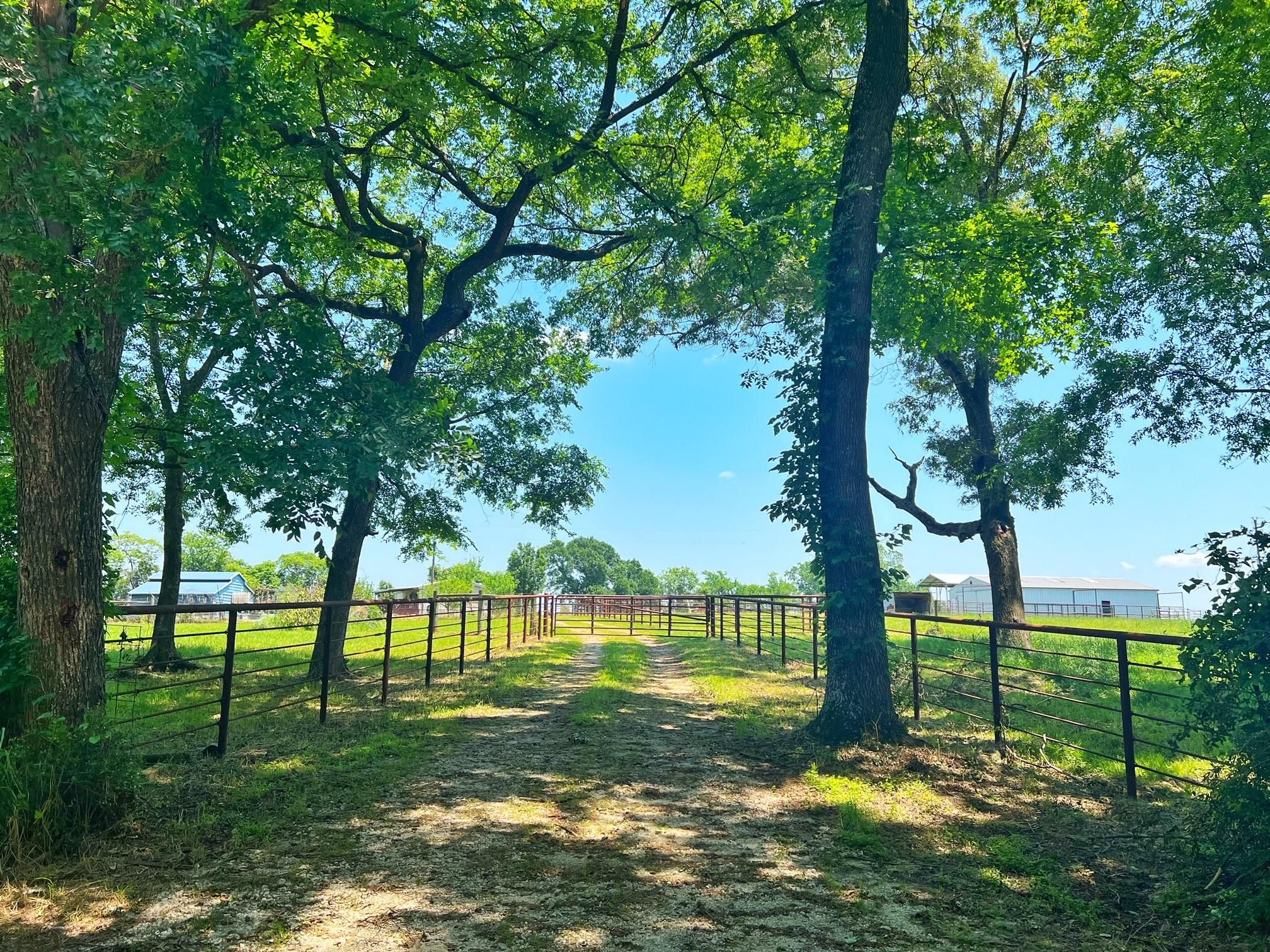 7283 FM 1119, Centerville, TX 75833 | LandWatch