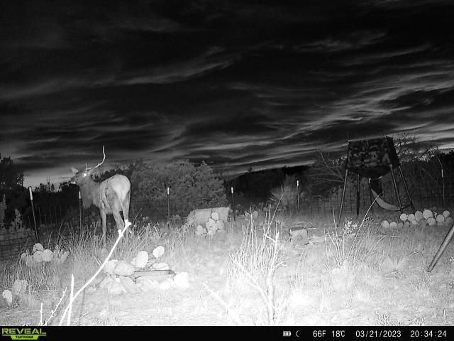 Sonora, Sutton County, TX Farms and Ranches, Recreational Property ...
