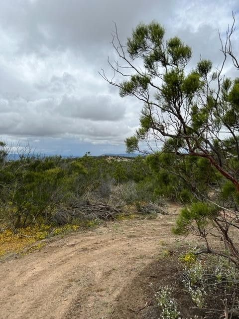 Aguanga, Riverside County, CA Farms and Ranches, Homesites for sale ...
