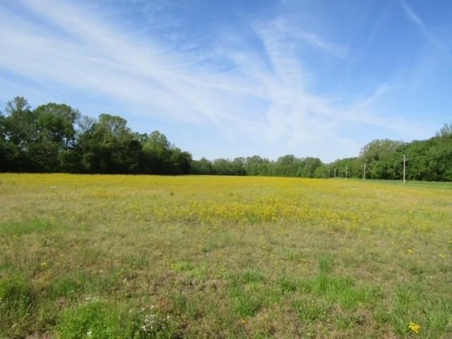 Moscow, Fayette County, TN Farms and Ranches, Undeveloped Land, Hunting ...