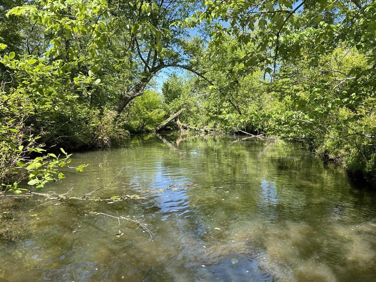 000 Eads Rd., Denmark, AR 72020 | LandWatch