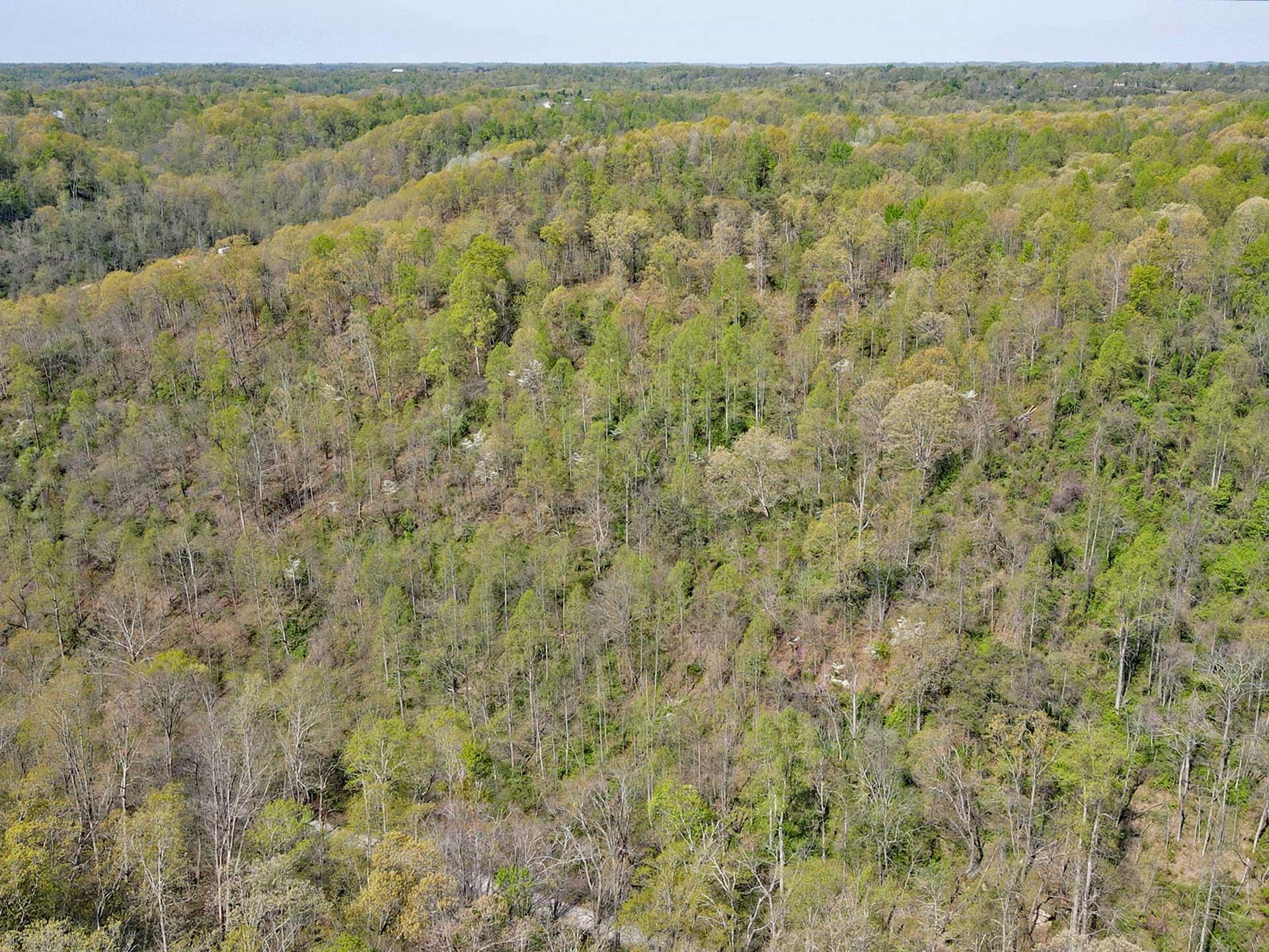 Green Rd, Crown City, OH 45623 | LandWatch