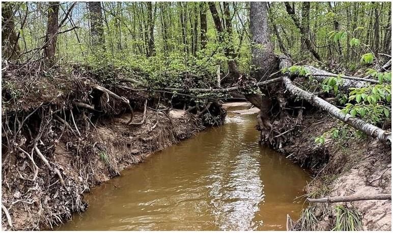 Knight Road, Eupora, MS 39744 | LandWatch