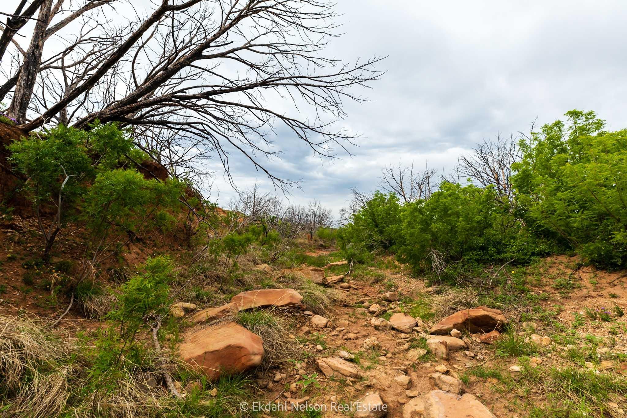 County Road 233, Merkel, TX 79536 | LandWatch