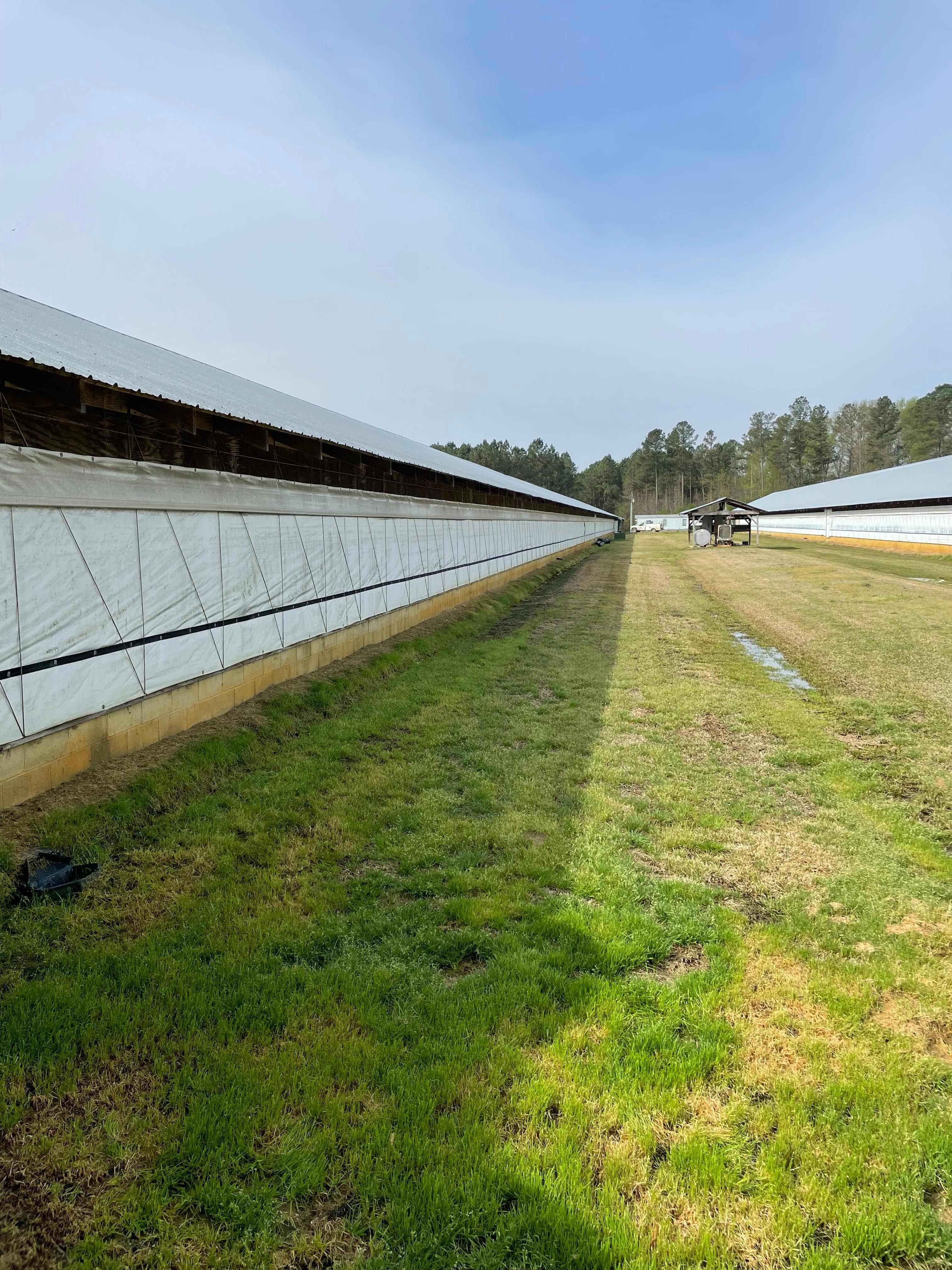 Mt Pisgah Church Rd, Broadway, NC 27505 | MLS: Ray Farms | LandWatch