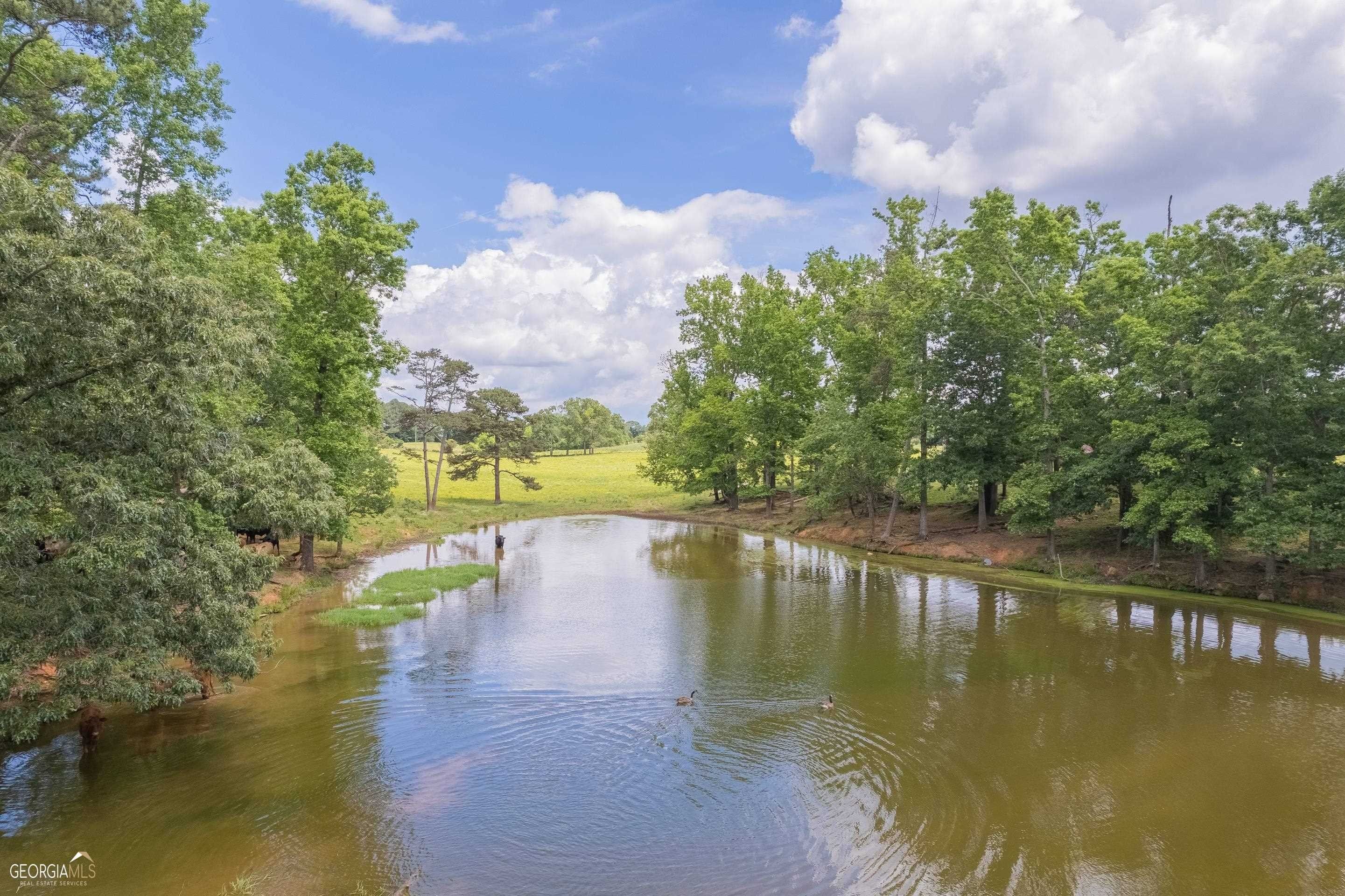 Danielsville, Madison County, GA Farms and Ranches for sale Property ID ...