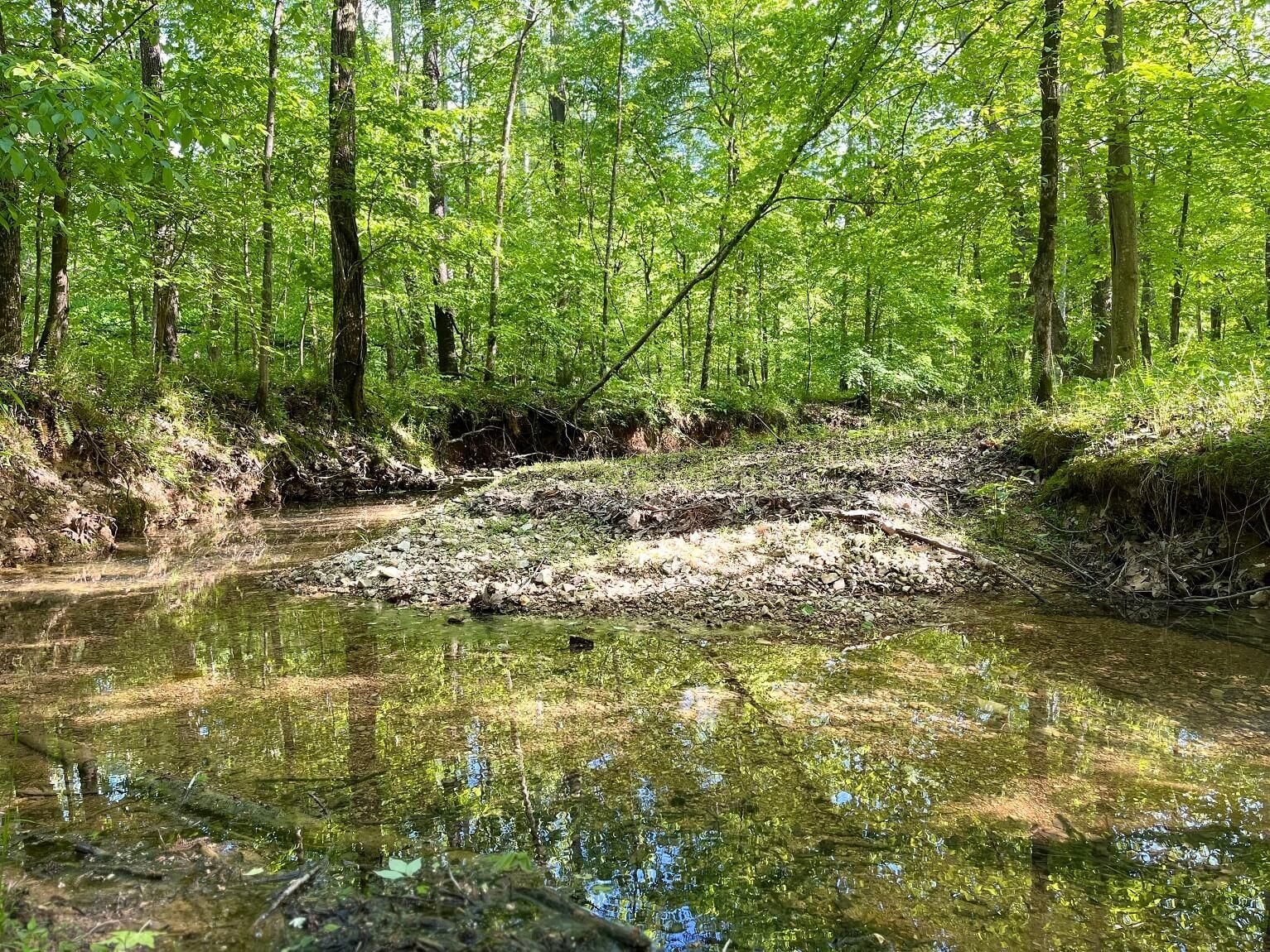 Birdsong Rd, Holladay, TN 38341 | LandWatch