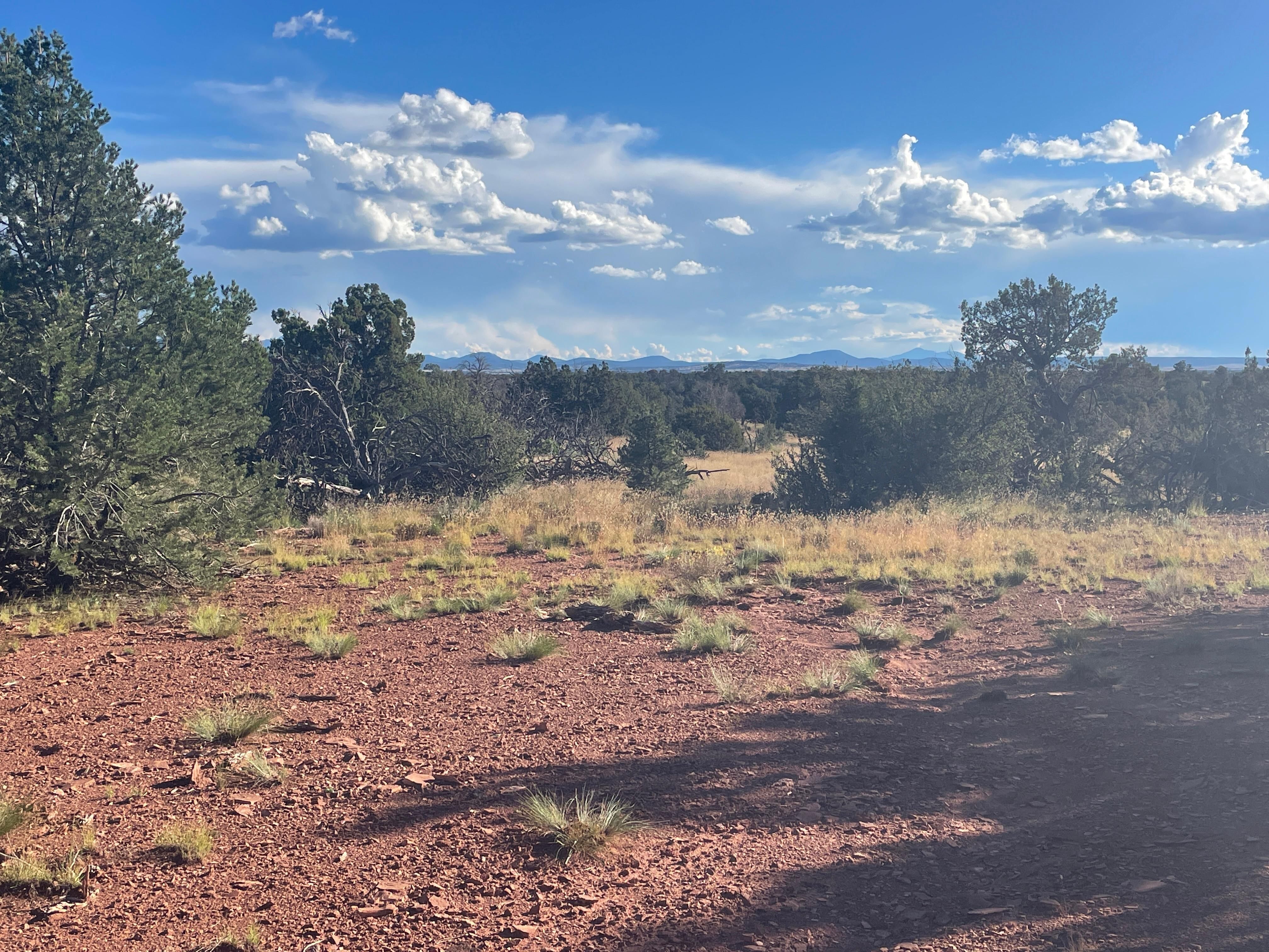 6293 S Rim Ranch Rd, Williams, AZ 86046 | LandWatch