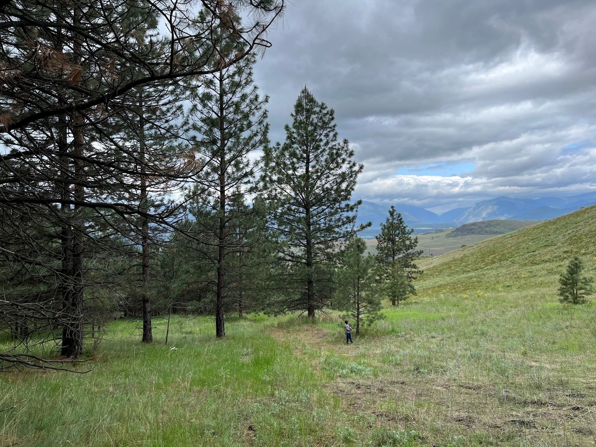 Plains, Sanders County, MT Farms and Ranches for sale Property ID ...