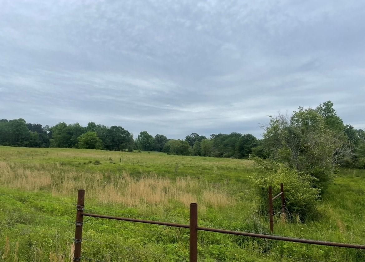 Simms, Bowie County, TX Recreational Property, Undeveloped Land ...