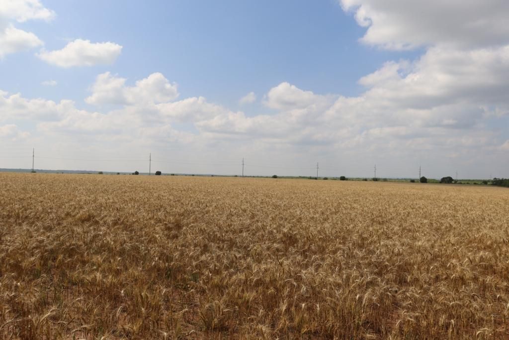 171.8 acres in Echo, TX, 76834 | LandWatch
