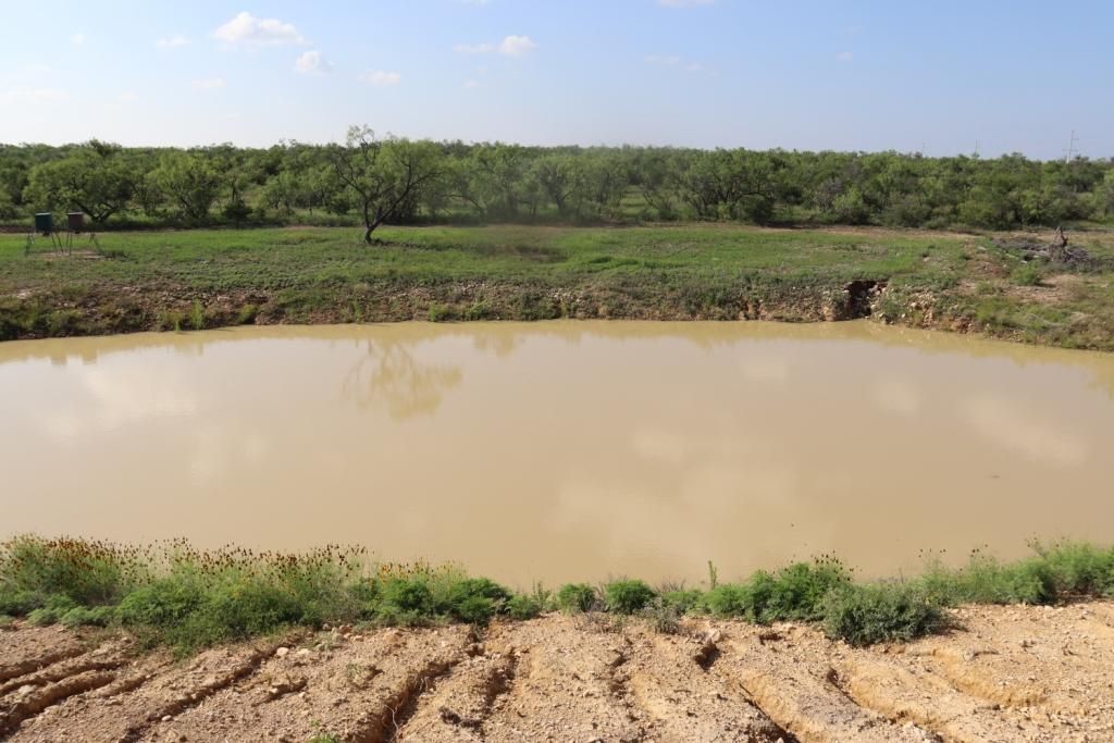 79.76 acres in Voss, TX, 76888 | LandWatch