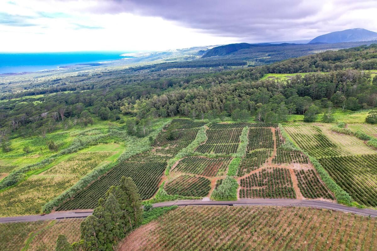Pahala, Hawaii County, HI Farms and Ranches, Undeveloped Land for sale ...