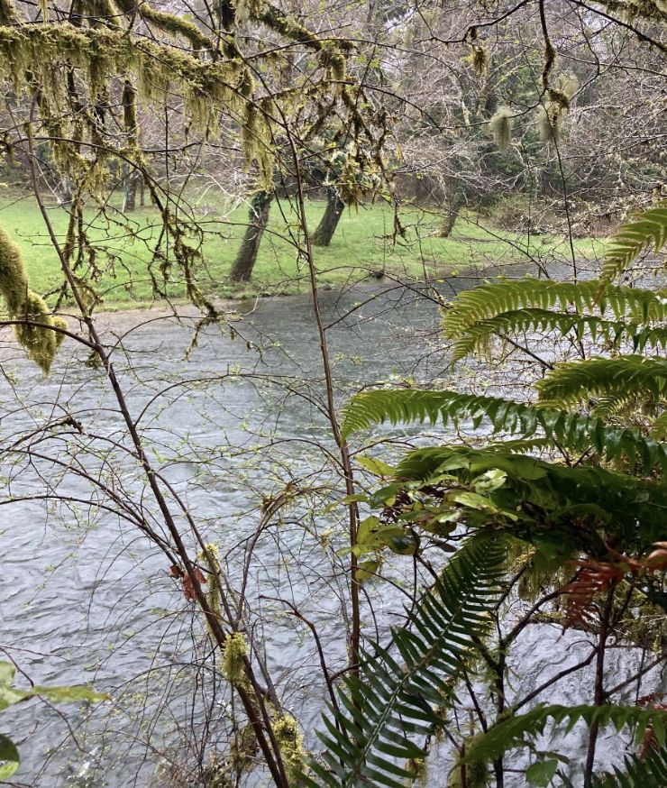 2850 N North Bank Rd, Otis, OR 97368 | LandWatch