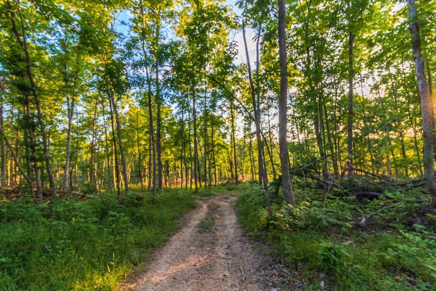 Lynx, Adams County, OH Farms and Ranches for sale Property ID ...