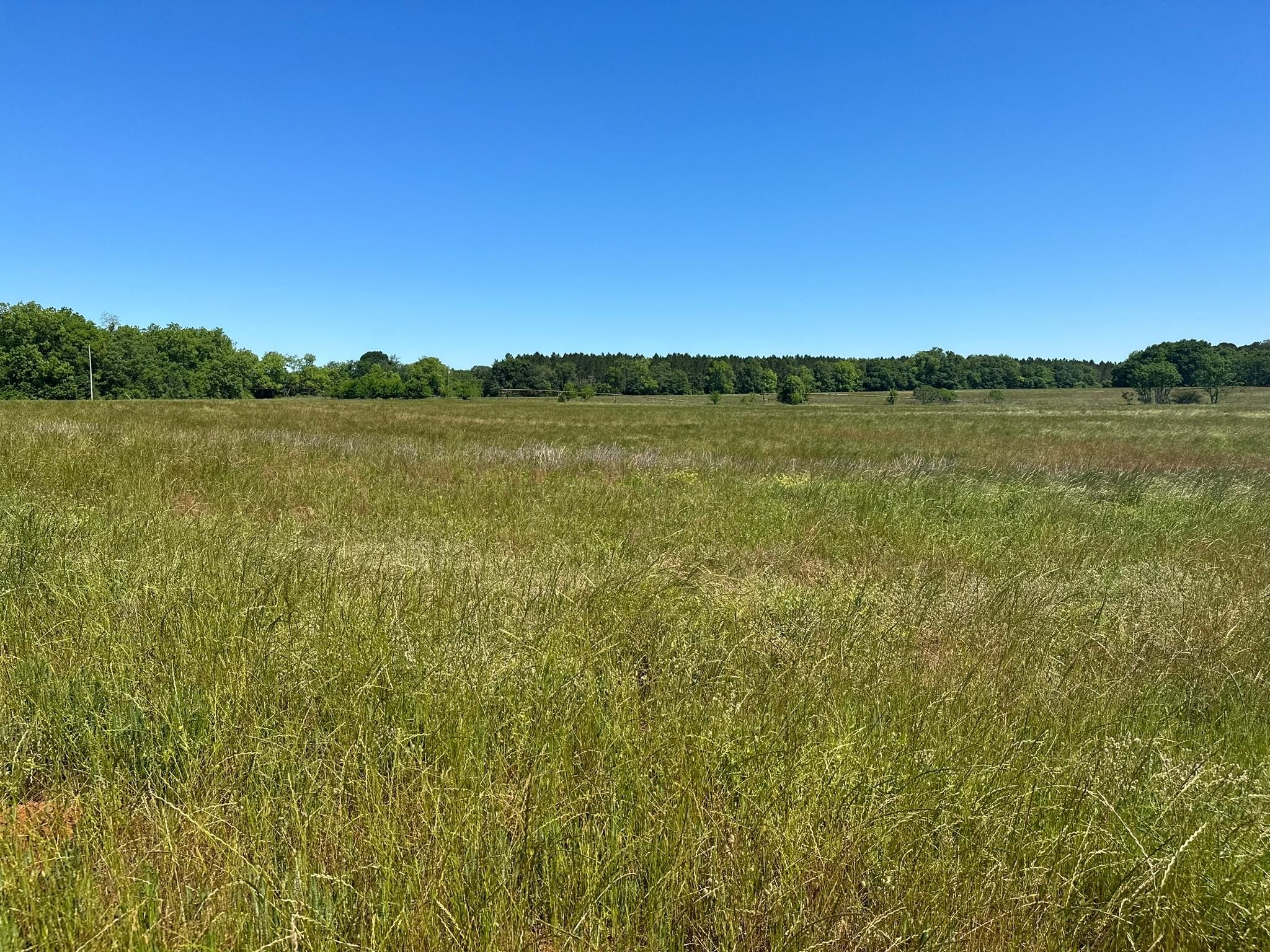 Carter Fishpond Road, Plains, GA 31780 | LandWatch