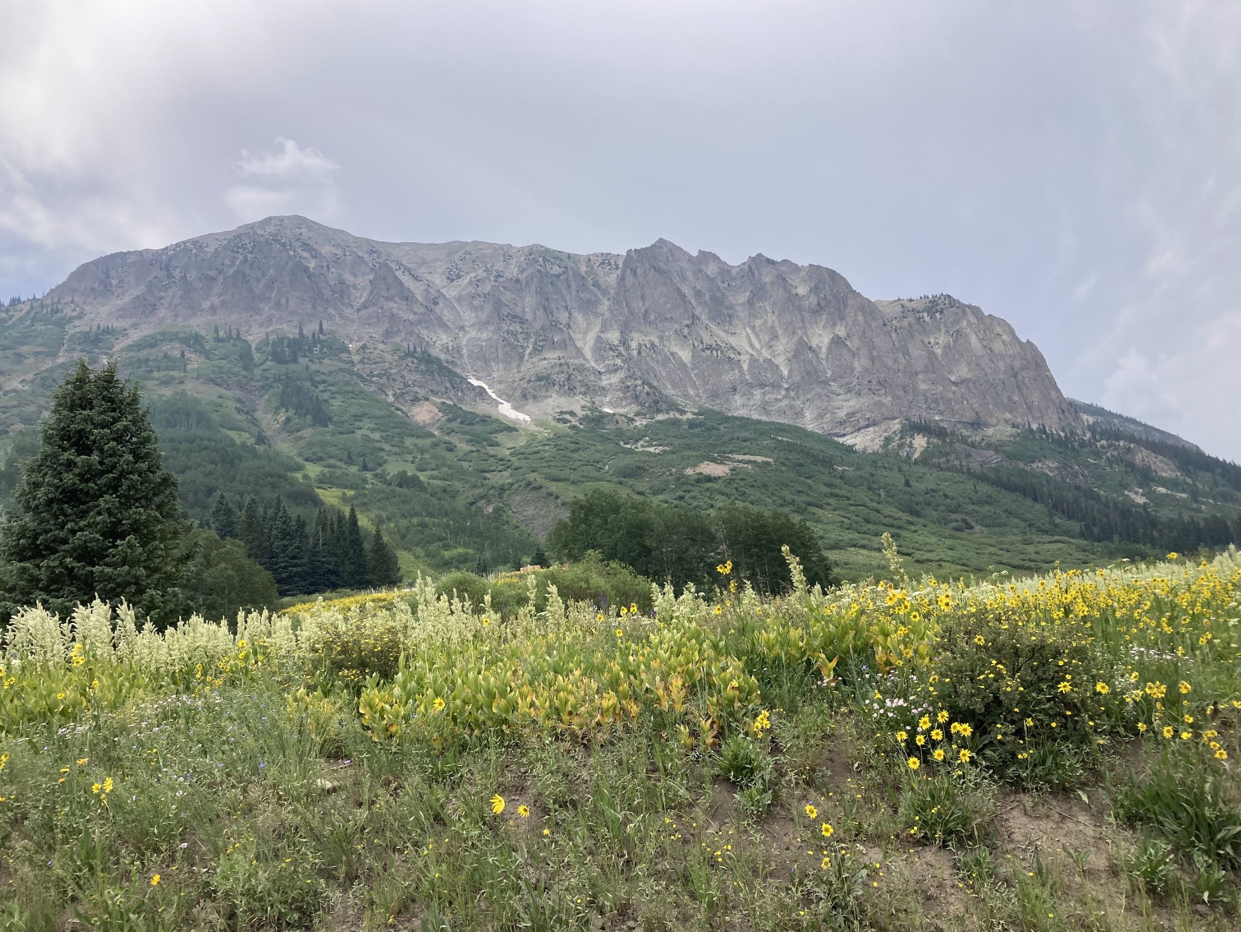 3.5 acres in Crested Butte, CO, 81224 | LandWatch