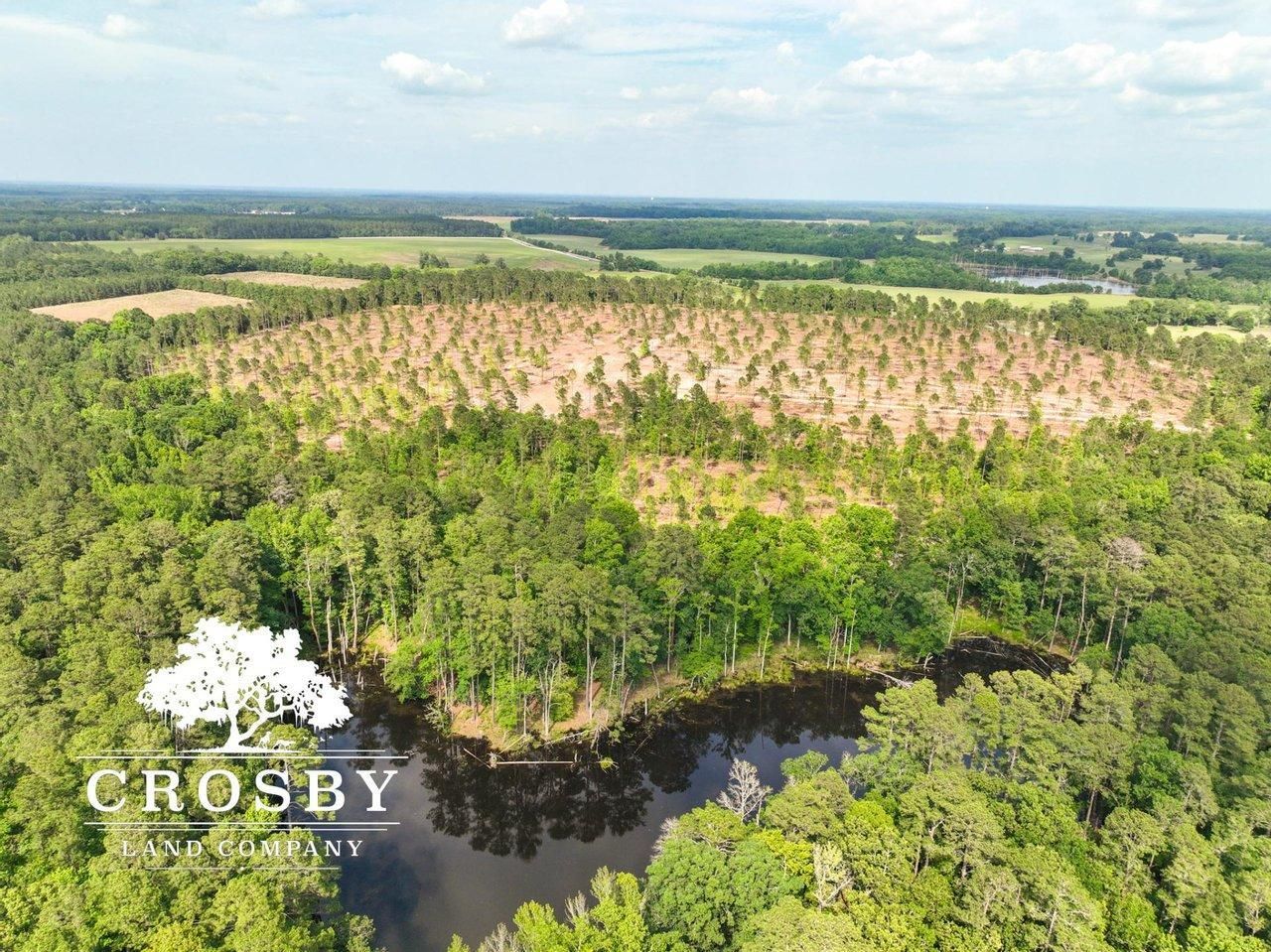 150.57 acres in Blackville, SC, 29817 | LandWatch