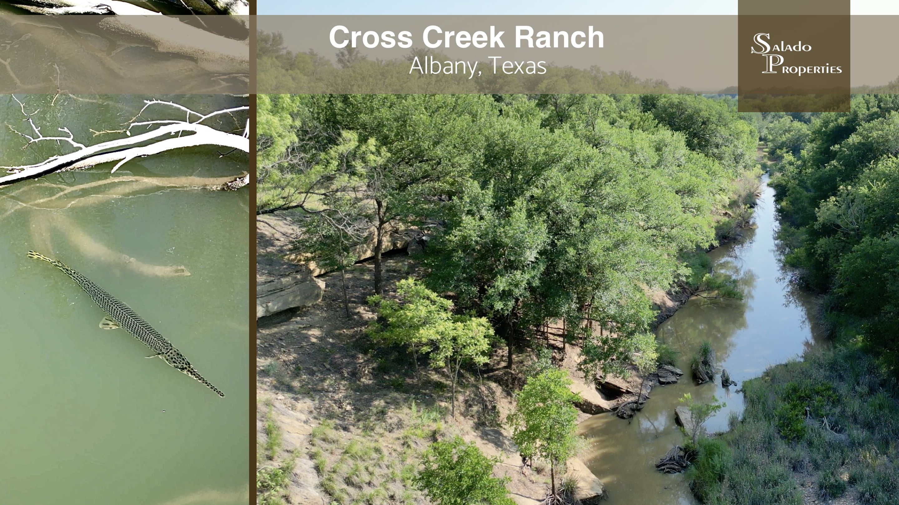 Albany, Callahan County, TX Farms and Ranches, Recreational Property ...