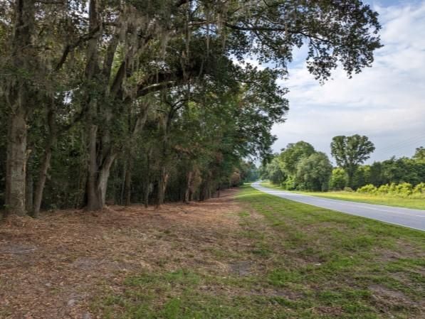 Live Oak, Suwannee County, FL Recreational Property, Undeveloped Land ...