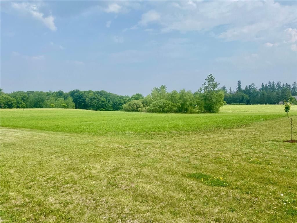 Le Roy, Mower County, MN Farms and Ranches, Homesites for sale Property ...