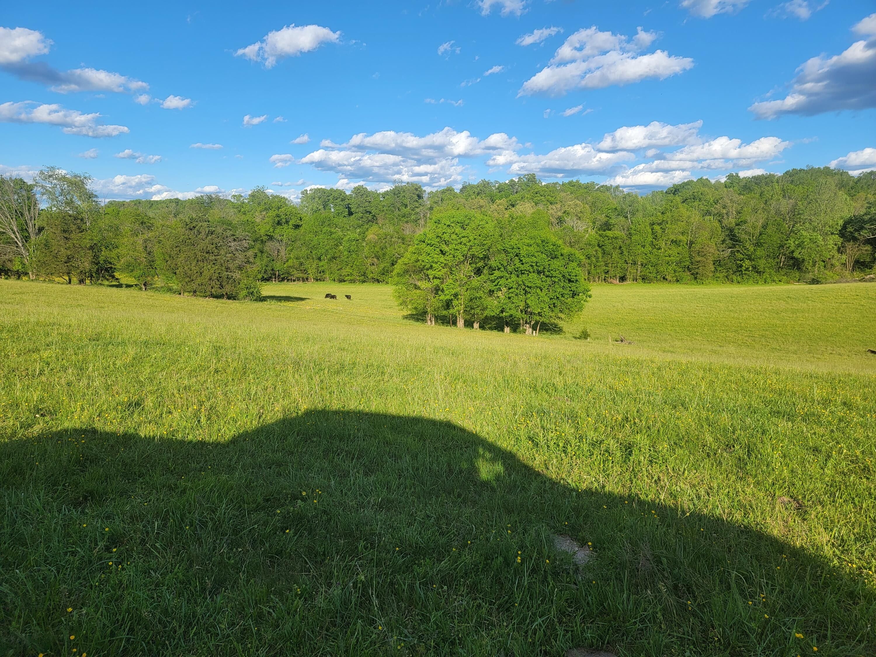 Limestone, Washington County, TN Farms and Ranches for sale Property ID ...