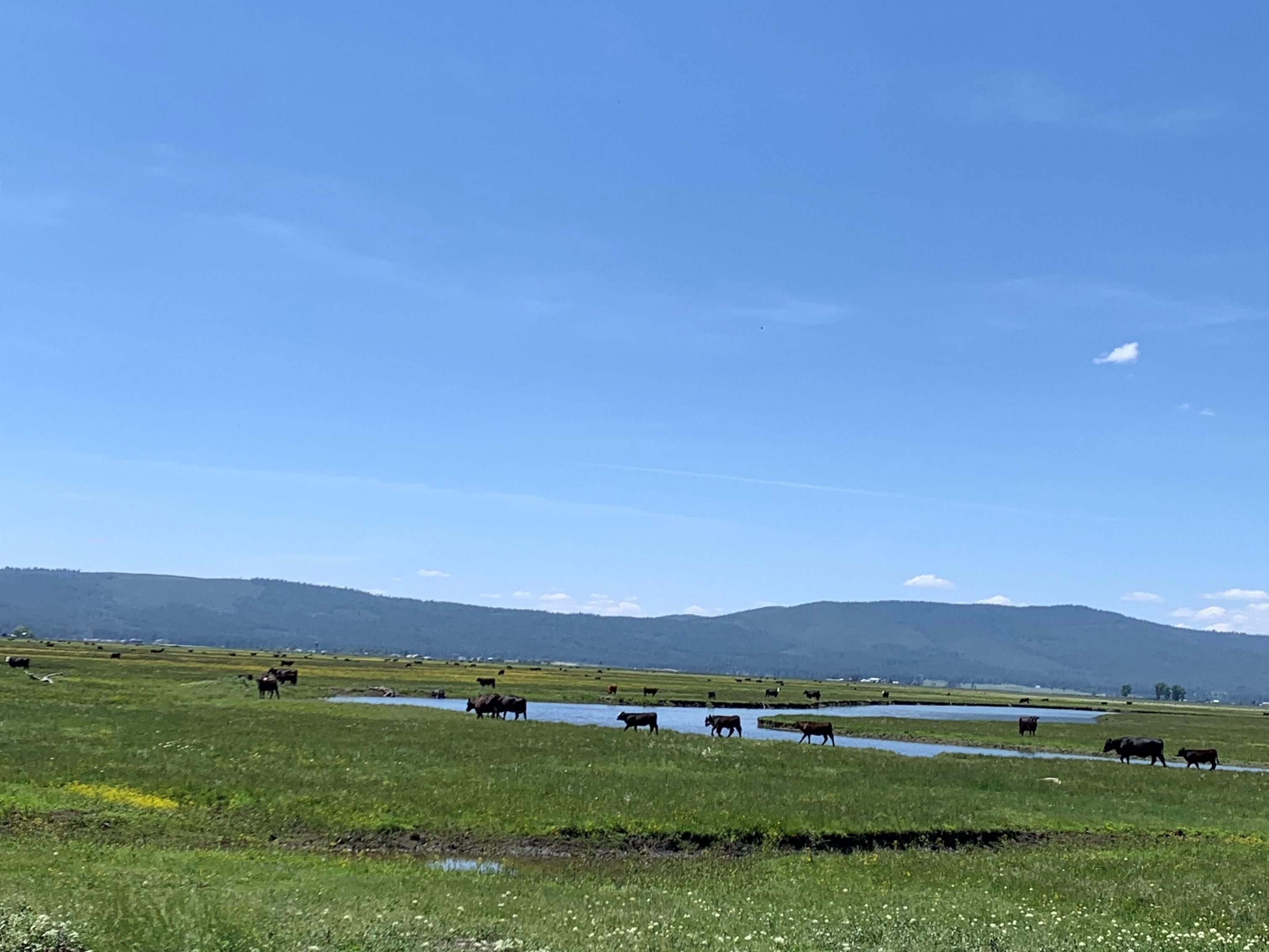 Derrick Road, Bieber, CA 96009 | MLS: 23-2165 | LandWatch