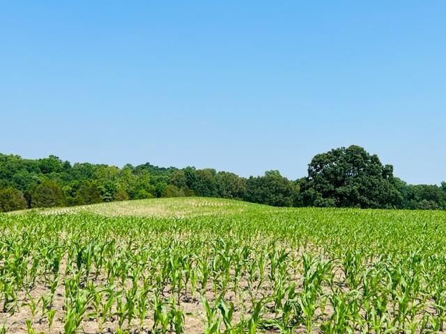 Russell Springs, Russell County, KY Farms and Ranches, Recreational ...