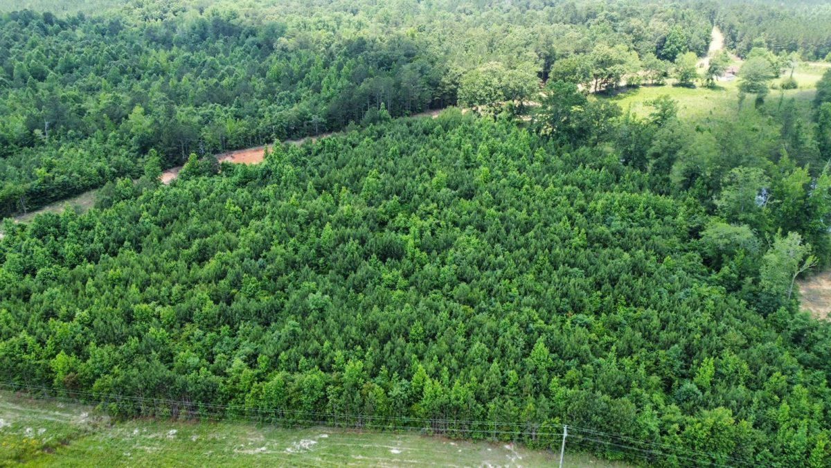 9 Acres, Winston County, MS, Philadelphia, MS 39350 | LandWatch