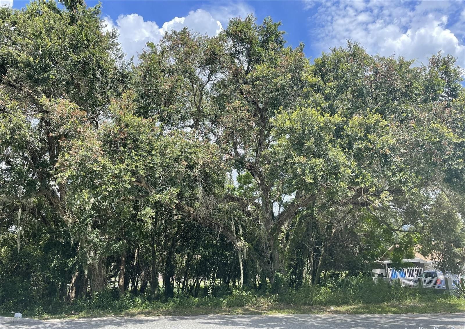 Orlando, Orange County, FL Farms and Ranches, Homesites for sale ...