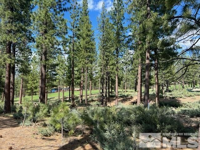 Carson City, Douglas County, NV Farms and Ranches, Homesites for sale ...