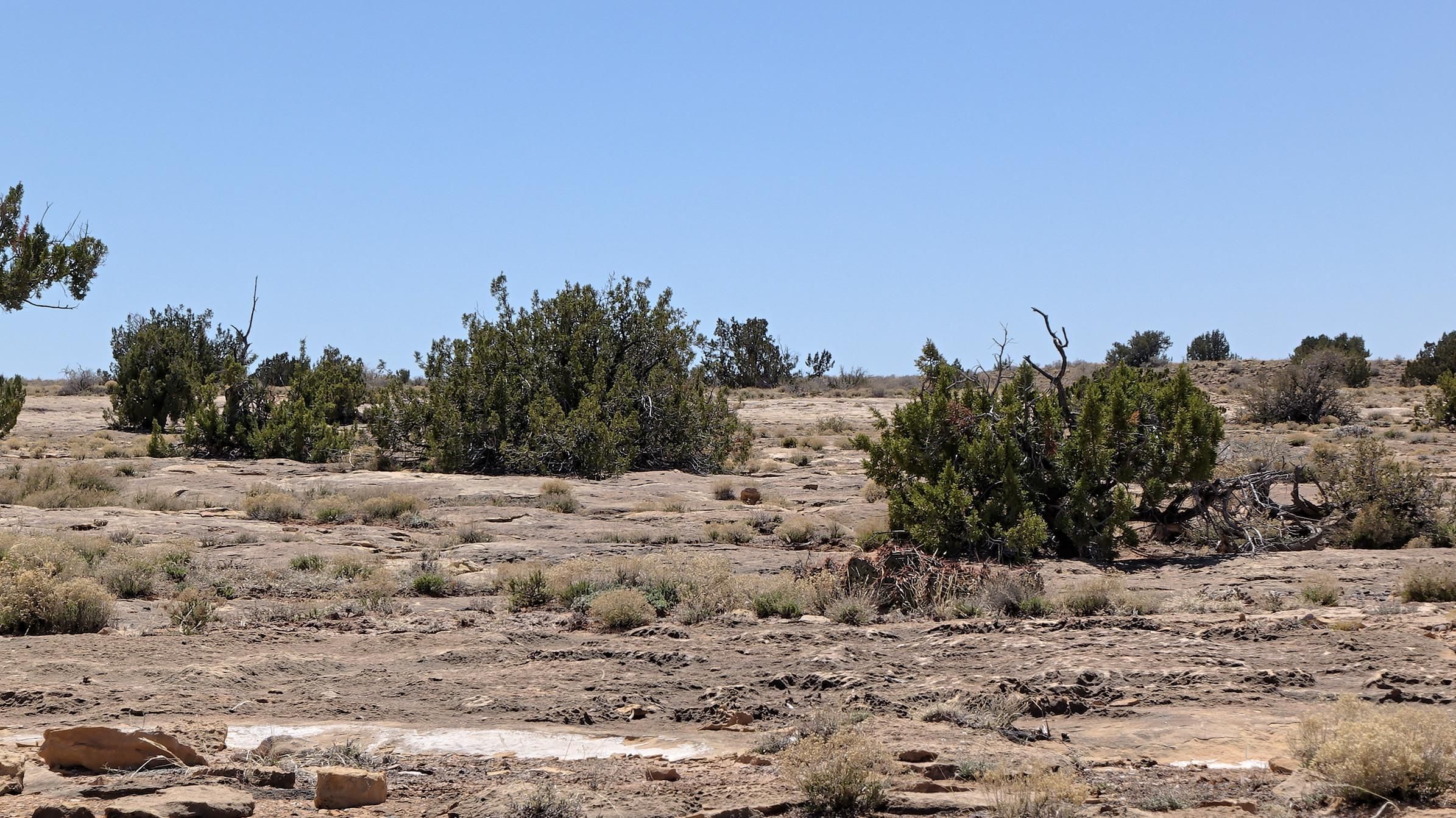 Winslow Unified District, Holbrook, AZ 86047 | LandWatch