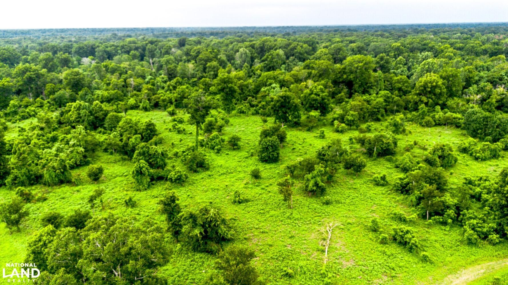 Davis Island, Vicksburg, MS 39180 | LandWatch