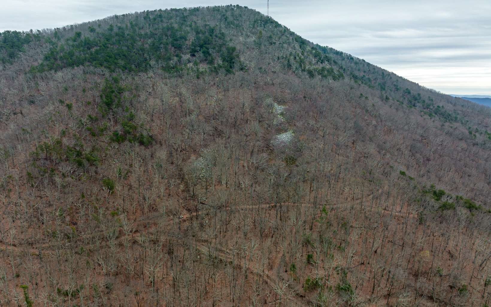 Chatsworth, Murray County, GA for sale Property ID: 416679535 | LandWatch