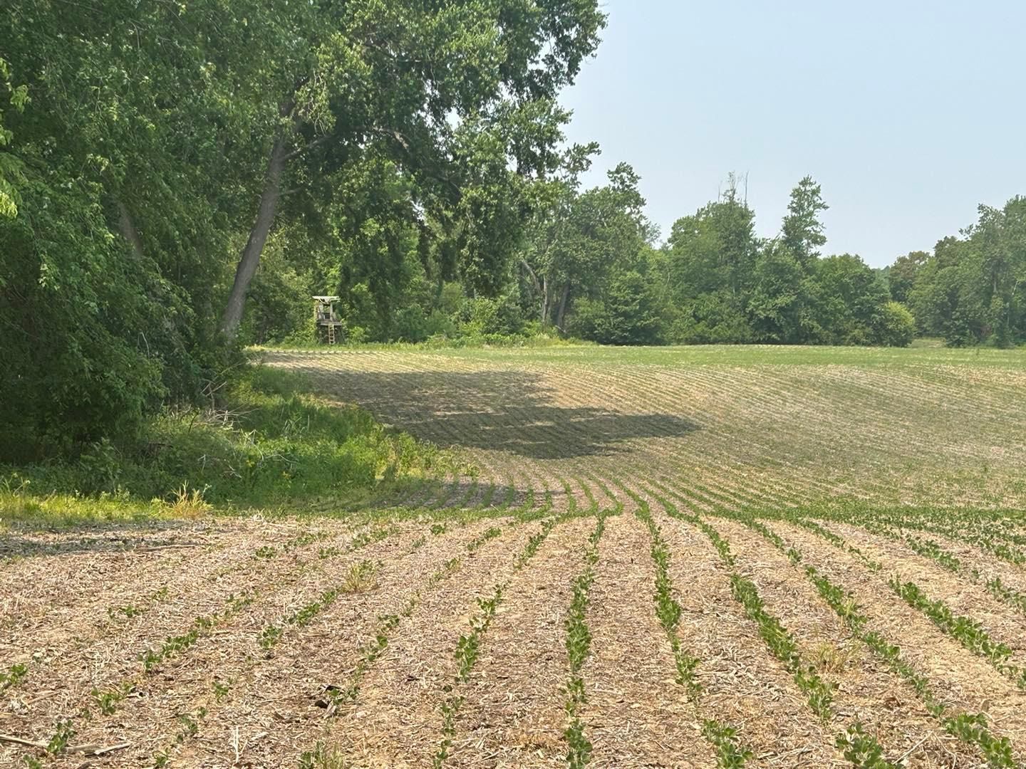 Bawden Rd, Bronson, MI 49028 | MLS: 23019866 | LandWatch