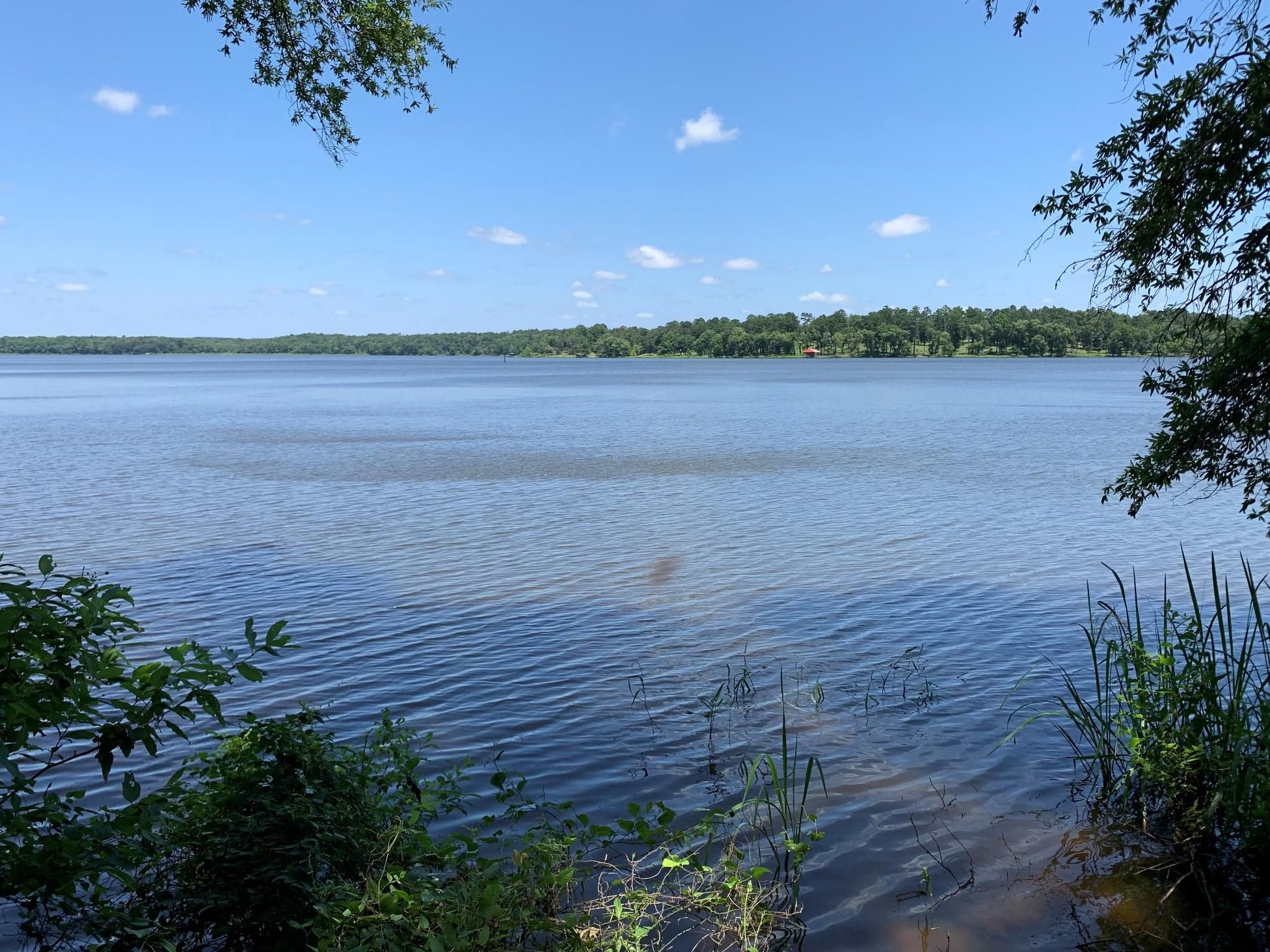 Larue, Henderson County, TX Lakefront Property, Waterfront Property ...