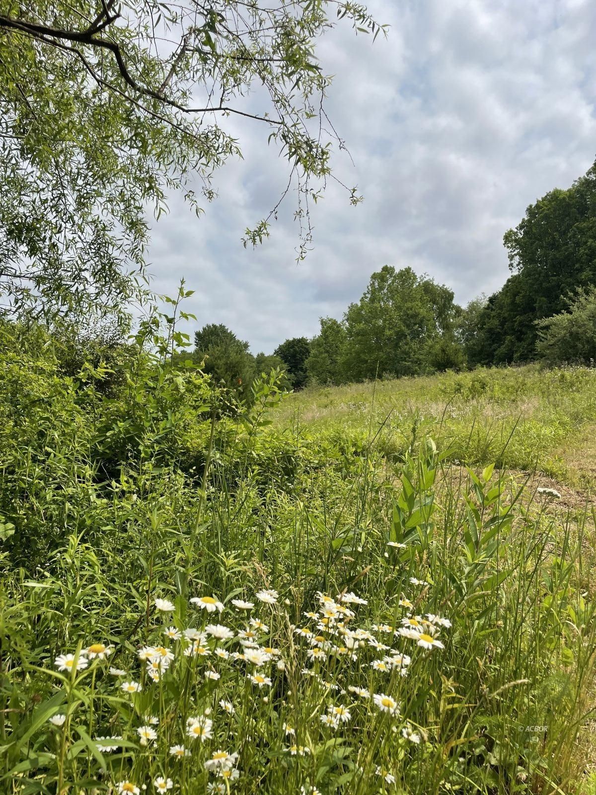 Athens, Athens County, OH Farms and Ranches for sale Property ID ...