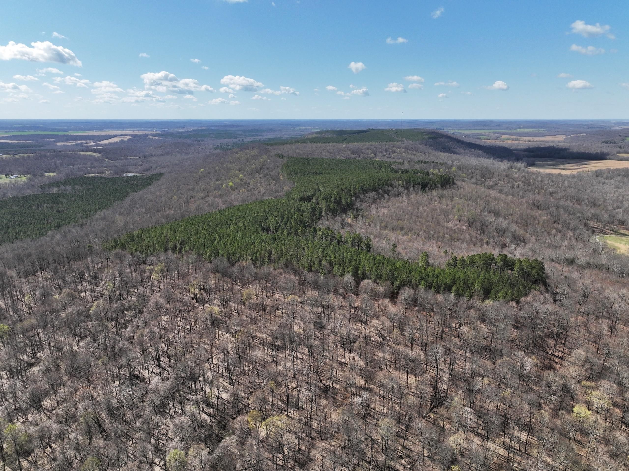 Salem, Livingston County, KY Recreational Property, Timberland Property ...